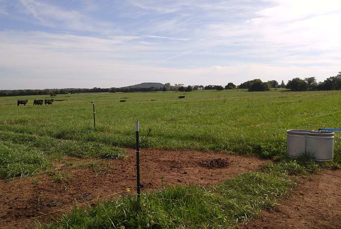 Cattle Chat: Reducing ranch expenses