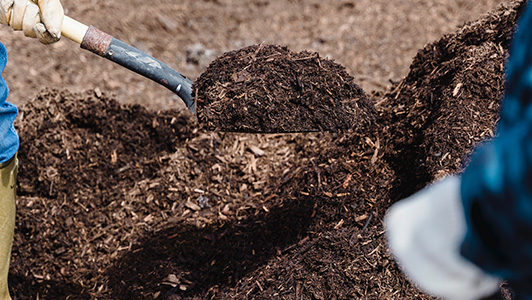 Composting improves the environment and home garden